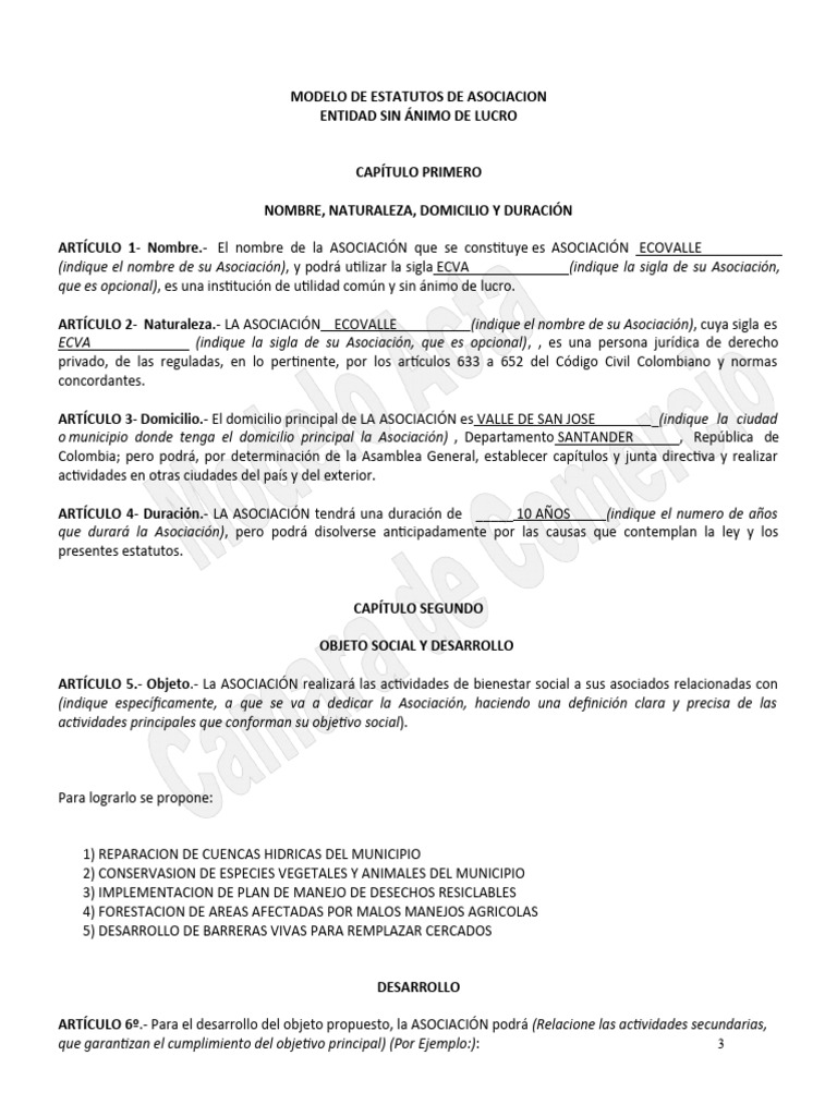 Modelo de Estatutos de Asociacion Entidad Sin Ánimo de Lucro | PDF ...