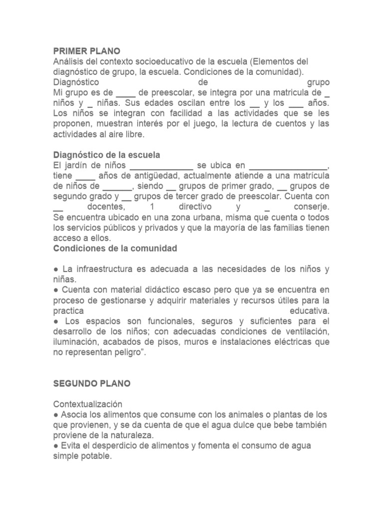 Partes Del Programa Analítico Pdf Educación De La Primera Infancia