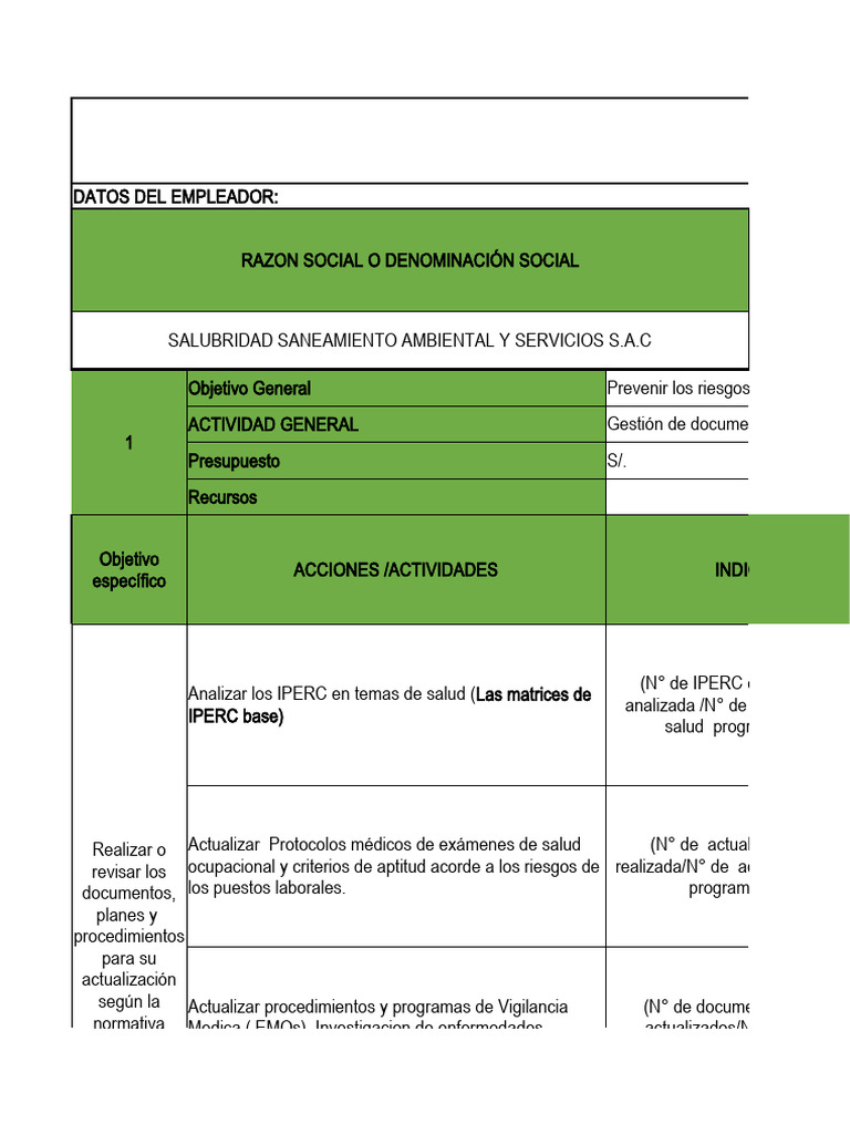 Programa Anual de Salud Ocupacional 2023 | PDF