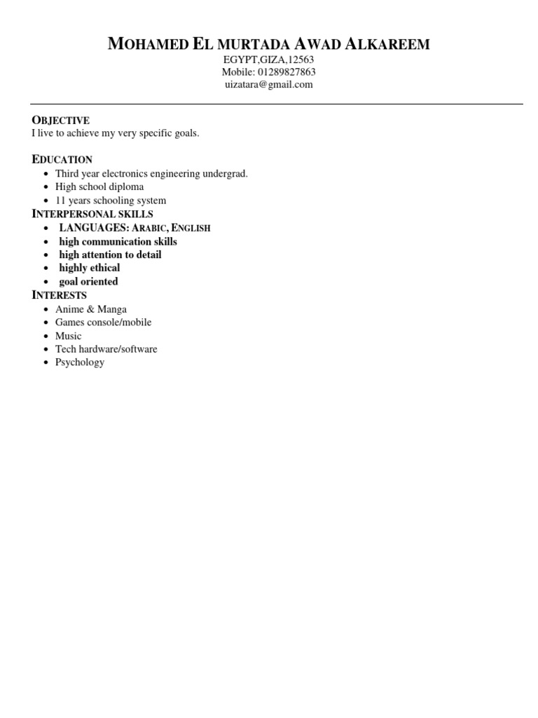 Electronics Engineering Student Profile | PDF