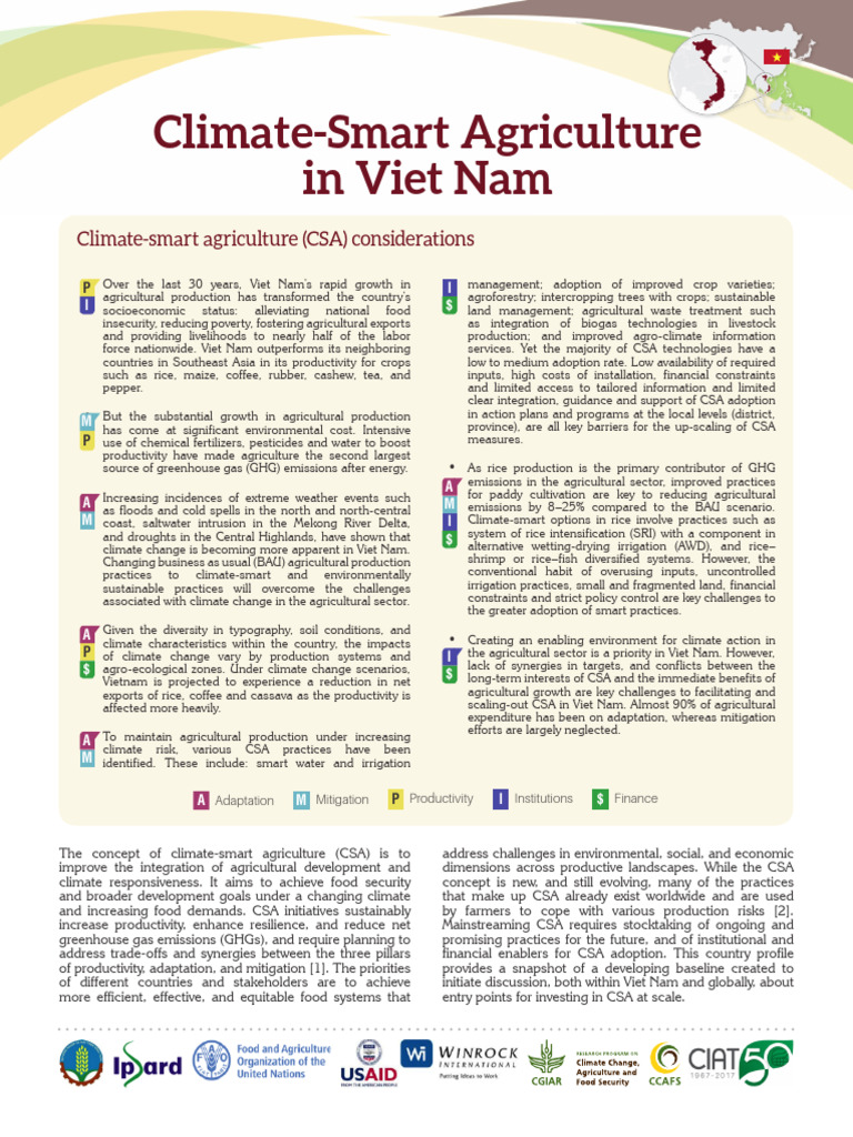 CSA Profile Vietnam2.2 | PDF