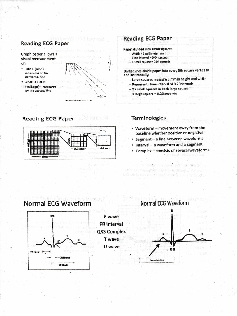 Ecg Pharma Notes | PDF | Electrocardiography | Cardiac Electrophysiology