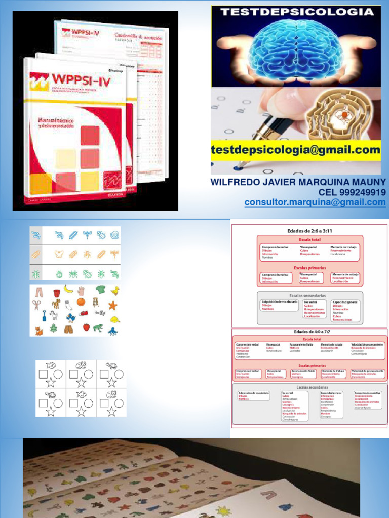 Wppsi Iv Ficha Técnica | PDF | Inteligencia | Desorden hiperactivo y deficit de atencion