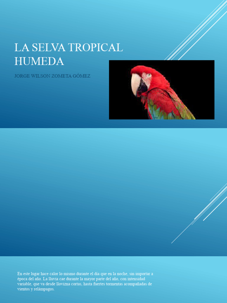 La Selva Tropical Humeda | PDF