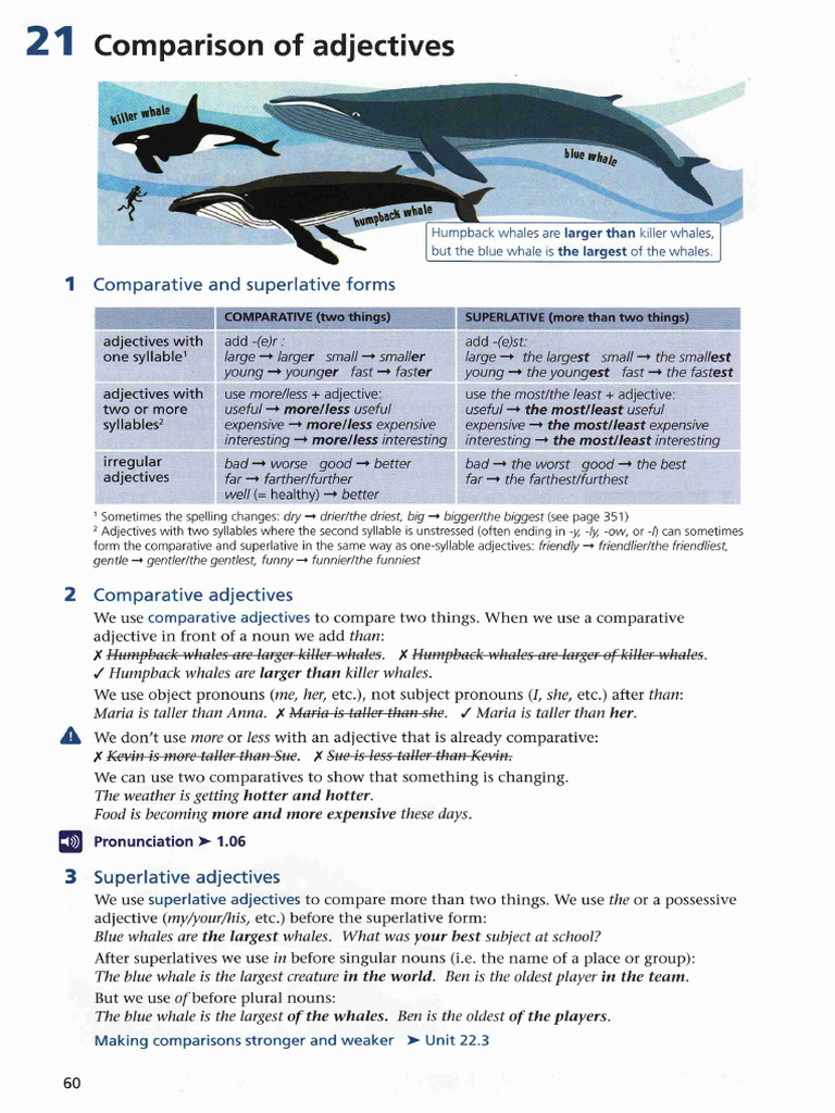 Grammar - Comparison | PDF