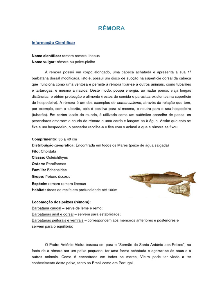 Rémora: Comensalismo e Alegorias na História | PDF | Tubarões | Peixes