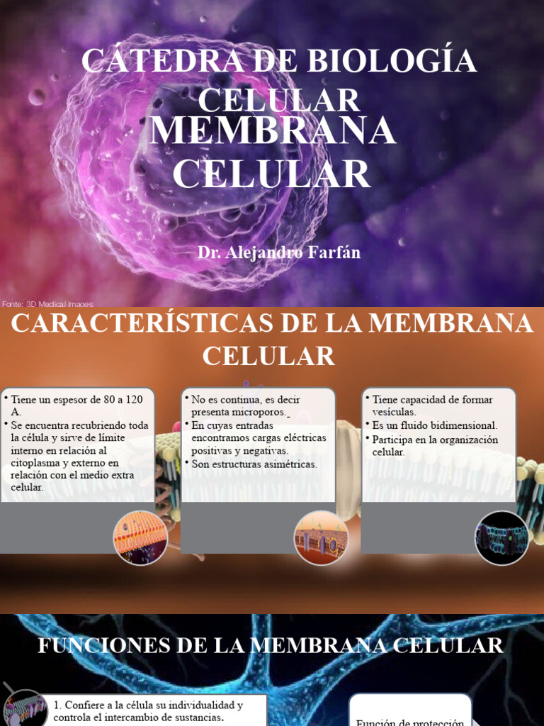 2 Membrana Plasmática | PDF