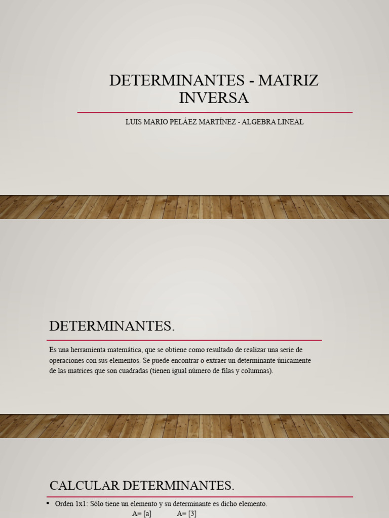 Determinantes Matriz Inversa Pdf Matriz Matemáticas Determinante