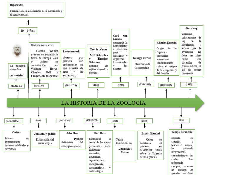 Linea de Tiempo de Personajes de La Zoologia | PDF | Zoología | Science