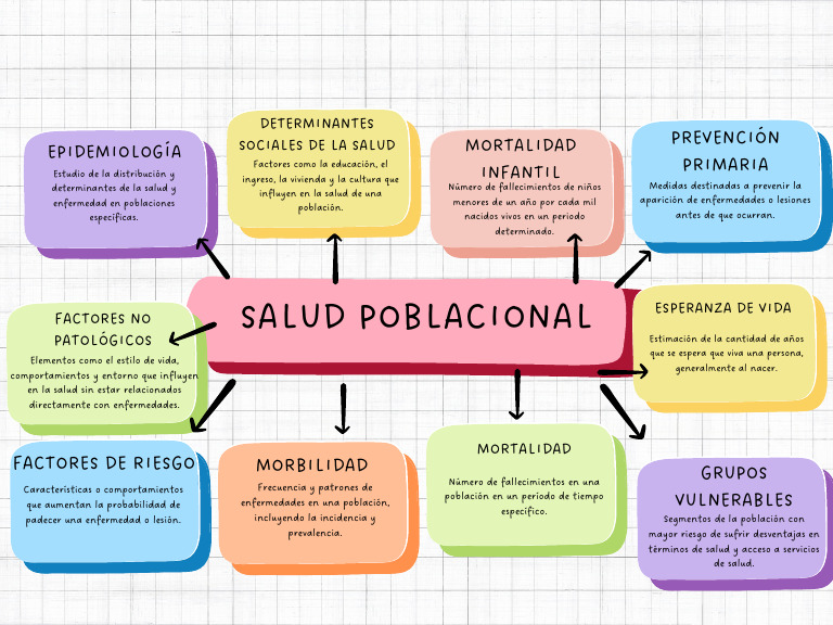 Mapa Conceptual Salud Poblacional | PDF