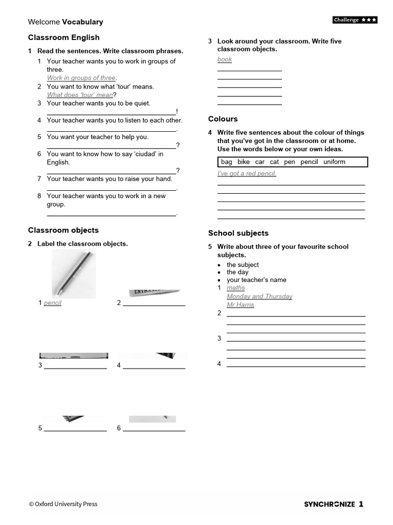 Synchronize1 - TRB - Worksheets - Welcome Unit - Challenge - Vocabulary | PDF