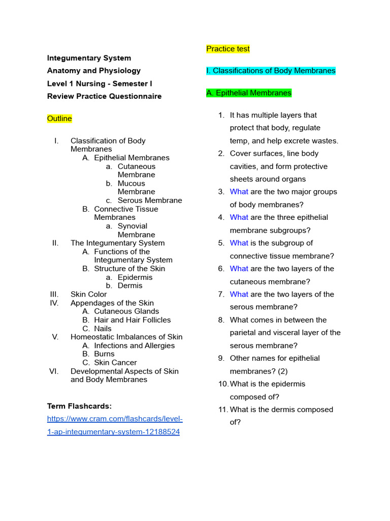 Integumentary System Review Quiz | PDF | Skin | Integumentary System