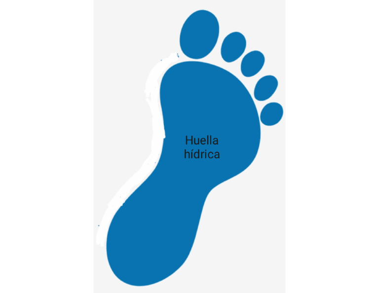 Huella Hídrica | PDF