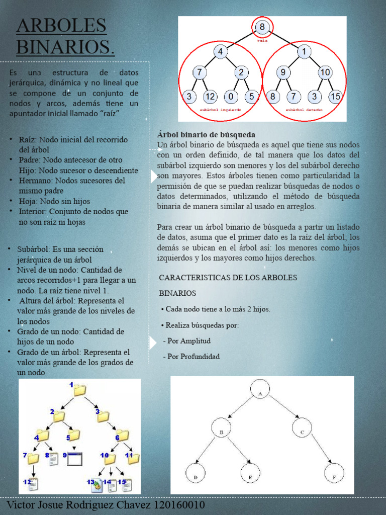 Arboles Binarios | PDF
