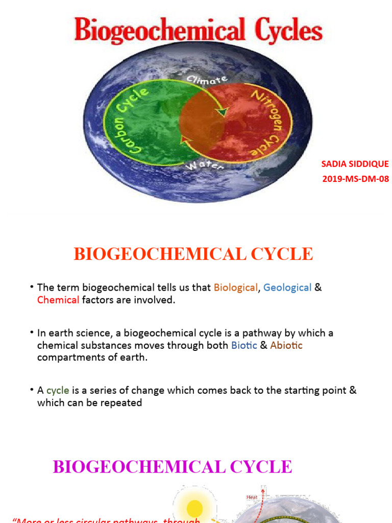 Bio-Chemical Cycles | PDF | Earth Sciences | Chemistry