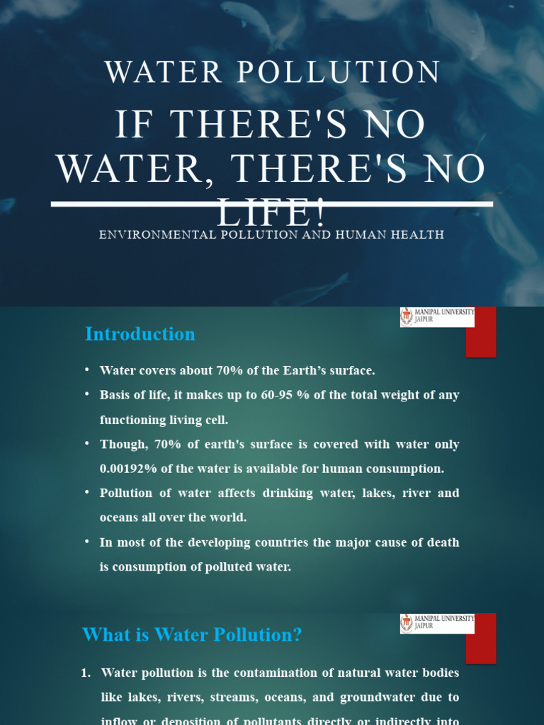 Lec Water Pollution Download Free Pdf Water Pollution Eutrophication