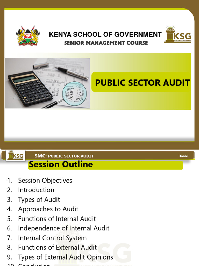 306 - Unit 5 Public Sector Audit | PDF | Audit | Internal Control