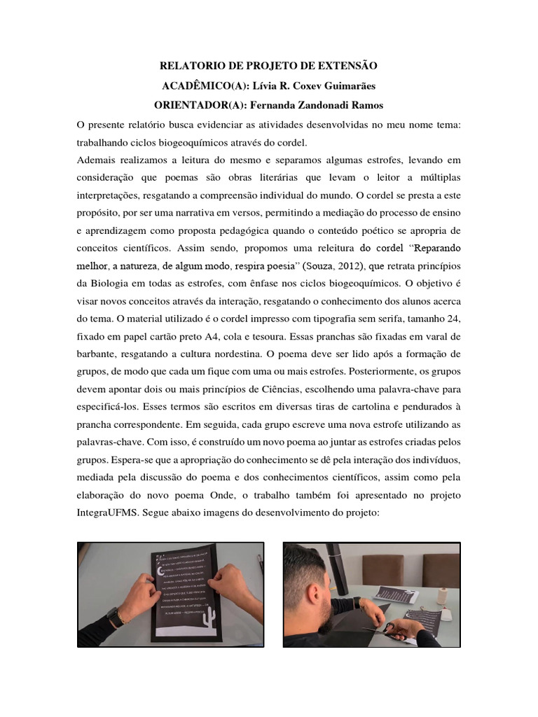 Relatorio Projeto de Extensão Lívia Coxev | PDF