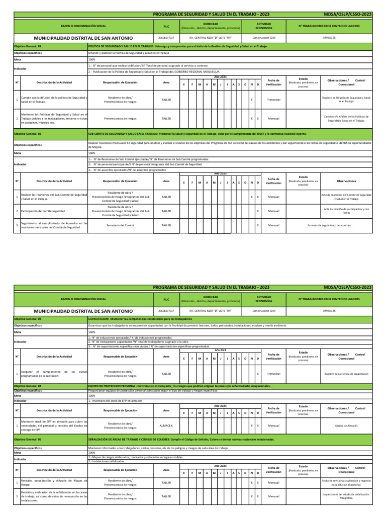 Passt | PDF | Auditoría