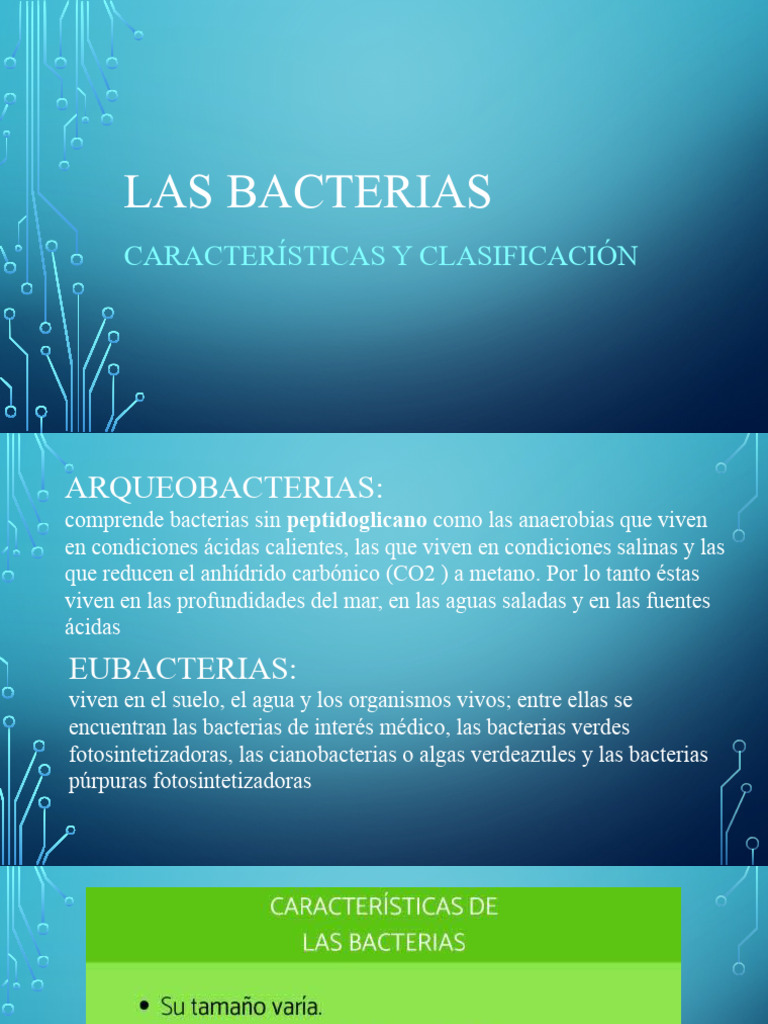 Las Bacterias | PDF