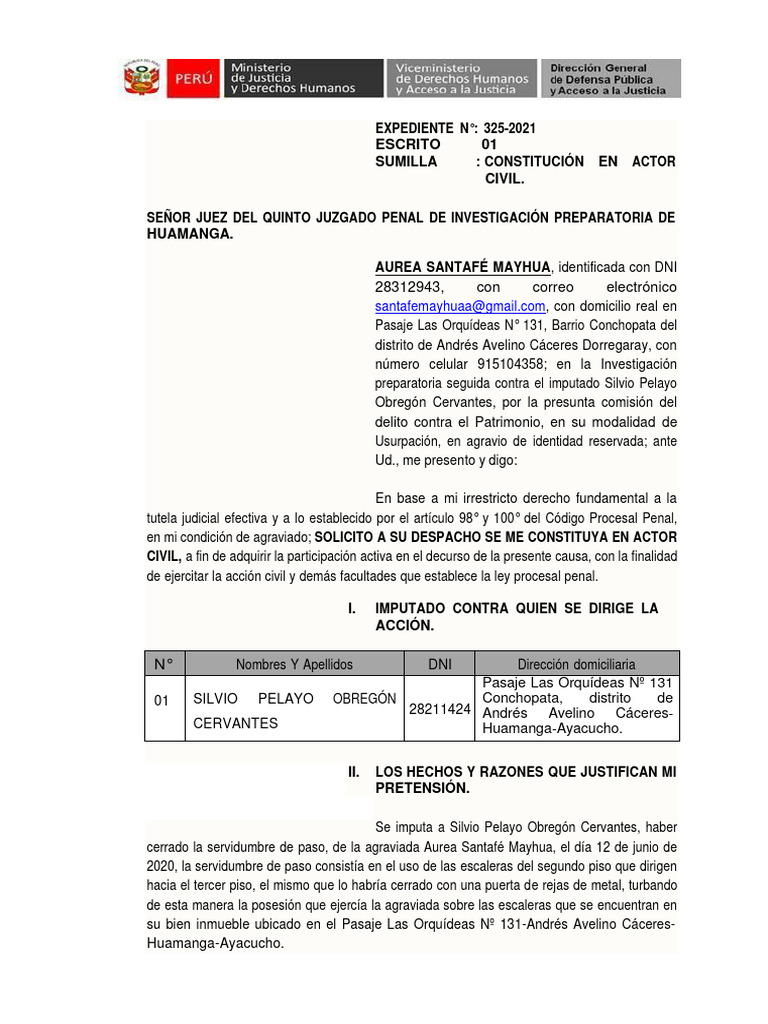 Solicitud de Constitución en Actor Civil | PDF | Gobierno | Ley Pública