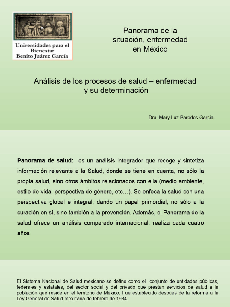 Tema 1 Panorama de Salud en Mexico | PDF