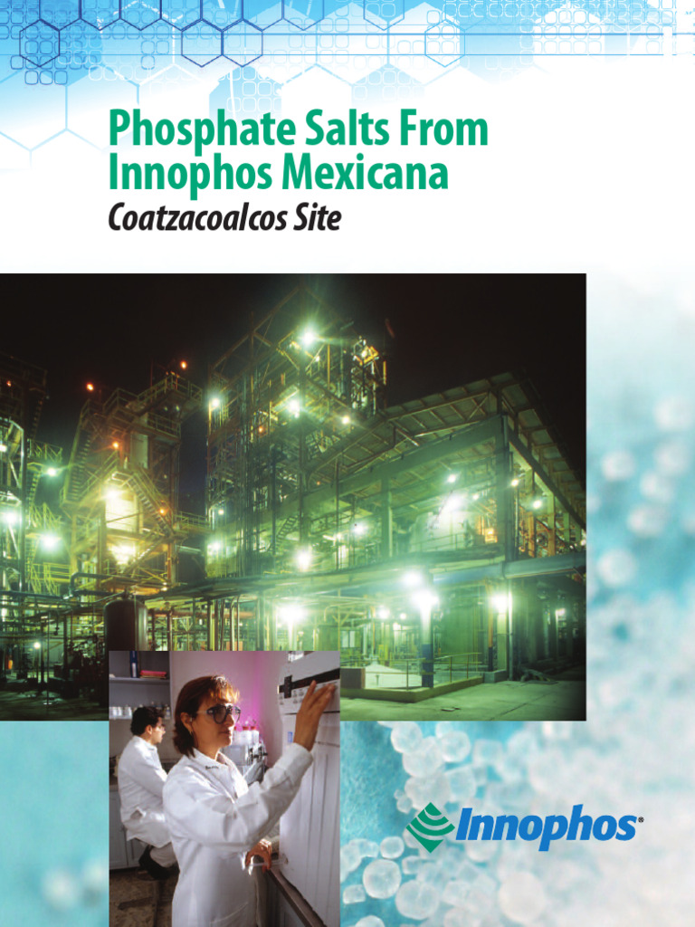 Innophos Mexico Report 2010 | PDF | Phosphate | Sodium