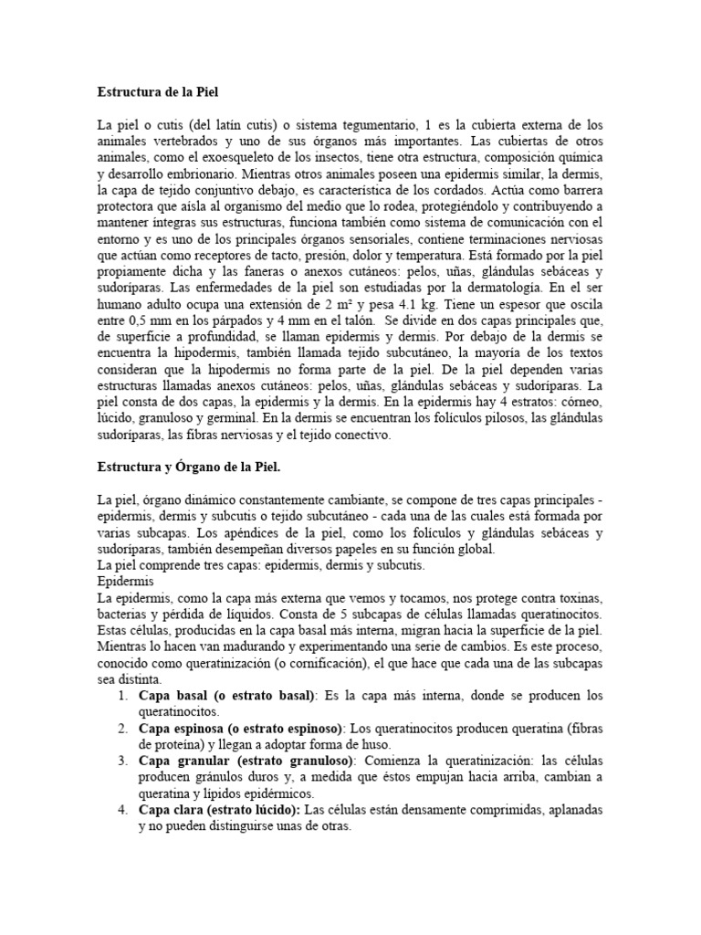 Estructura de La Piel | PDF | Piel | Morfología (biología)