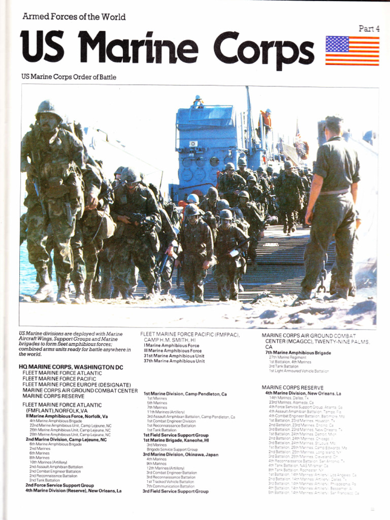 US Marine Corps Order of Battle Overview | PDF | United States Marine ...