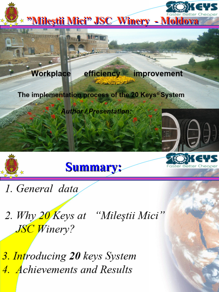 20 Keys Milestii Mici | PDF | Inventory | Wine