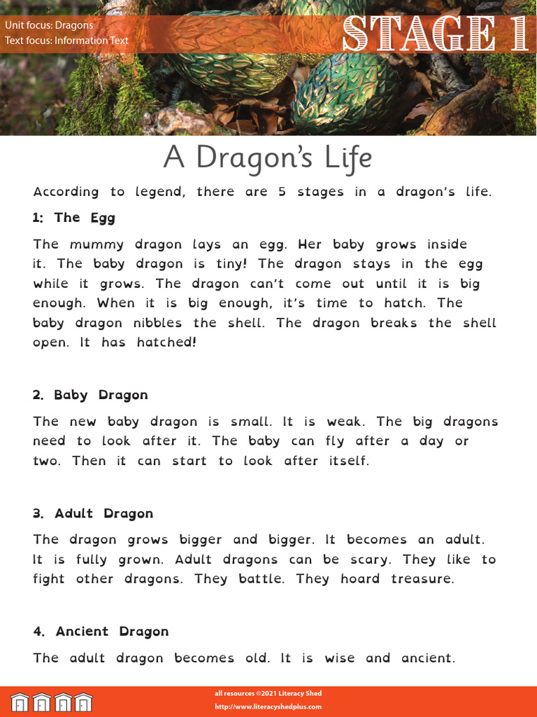 A Dragons Life Stage 1 Comprehension - Comprehension Pack | PDF ...