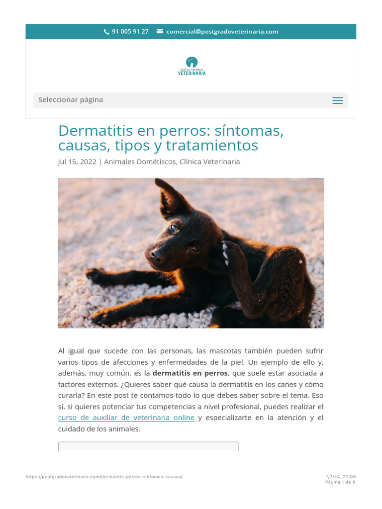 Tipos de Dermatitis en Perros - Causas, Síntomas y Tratamientos | PDF ...