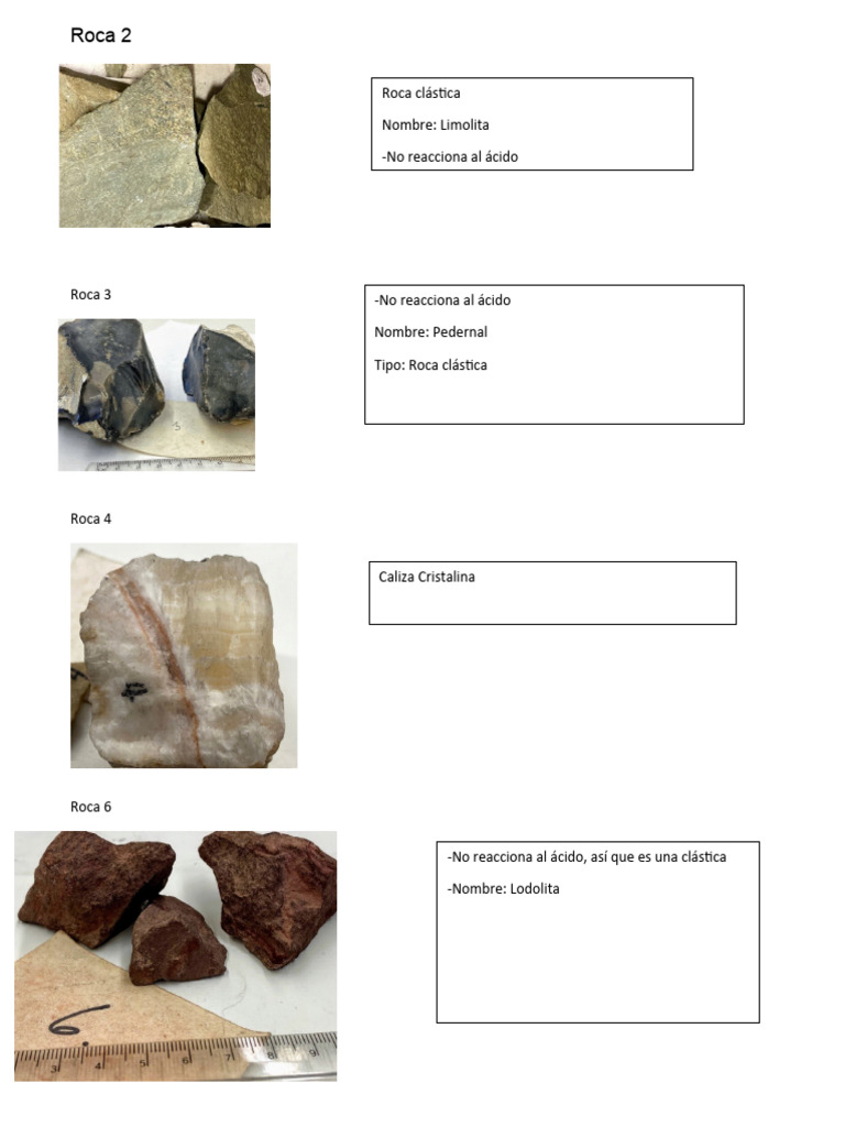 Bloque C - Rocas Sedimentarias | PDF