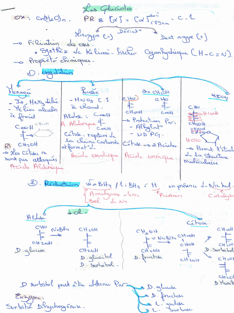 Résumé Chapitre1 Biochimie Structurale | PDF