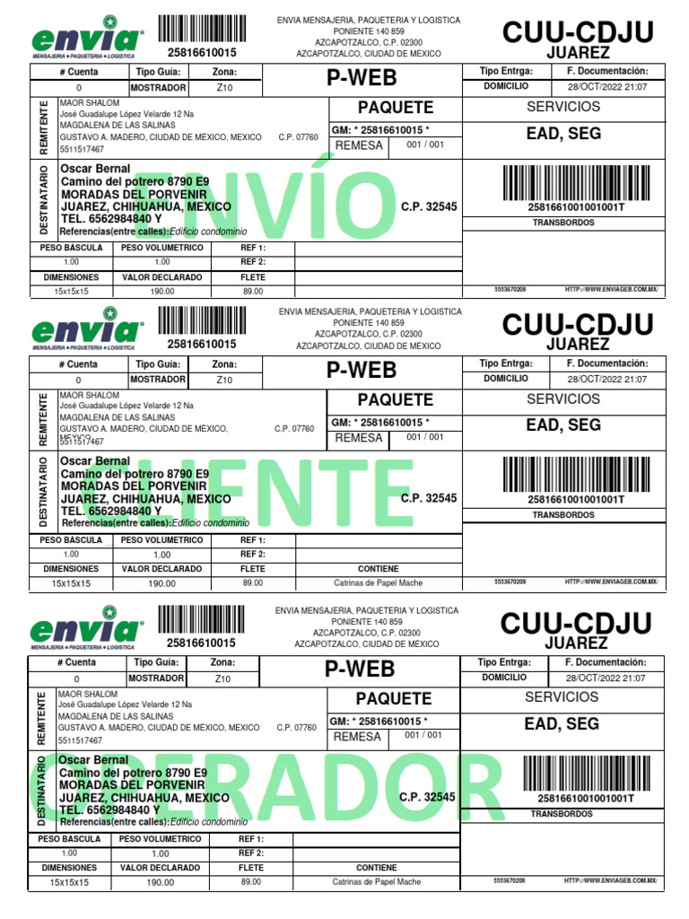 Recibo de Envío de Paquetería Terrestre | PDF