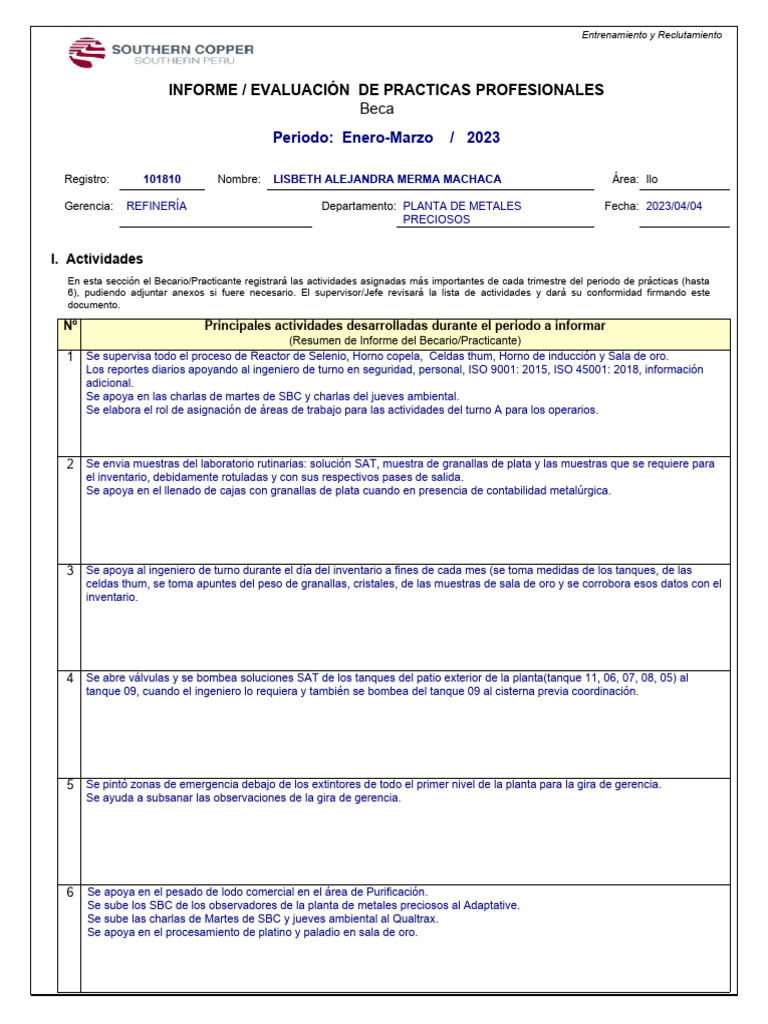 Informe-Lisbeth Merma Machaca | PDF | Evaluación