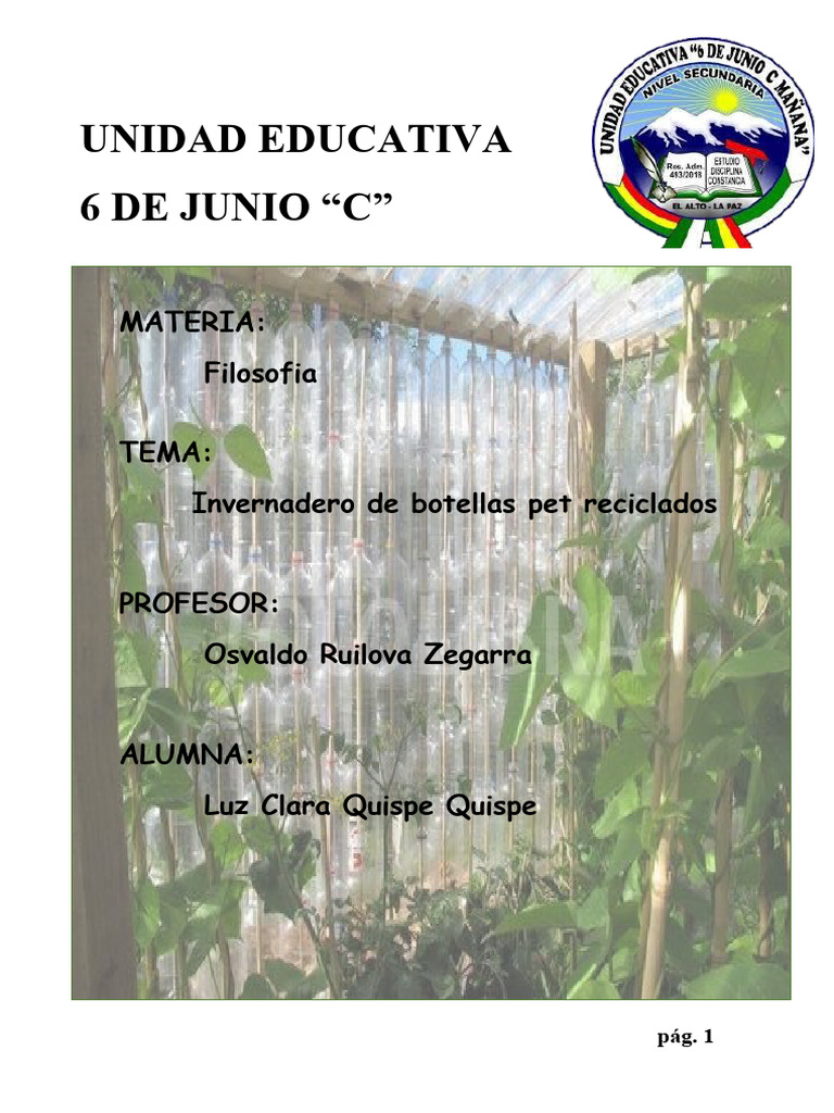 Proyecto Con Botellas Pet | PDF