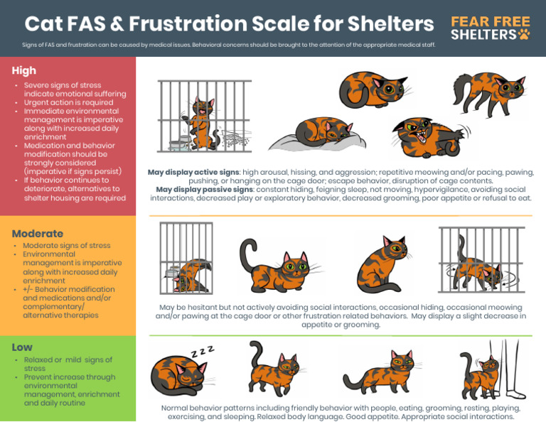 FAS-Frustration-scale-CAT-12-03-21 2 | PDF | Lifestyle