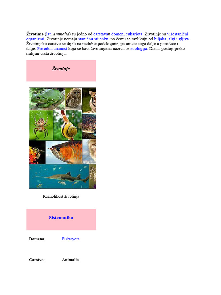 Zivotinje | PDF