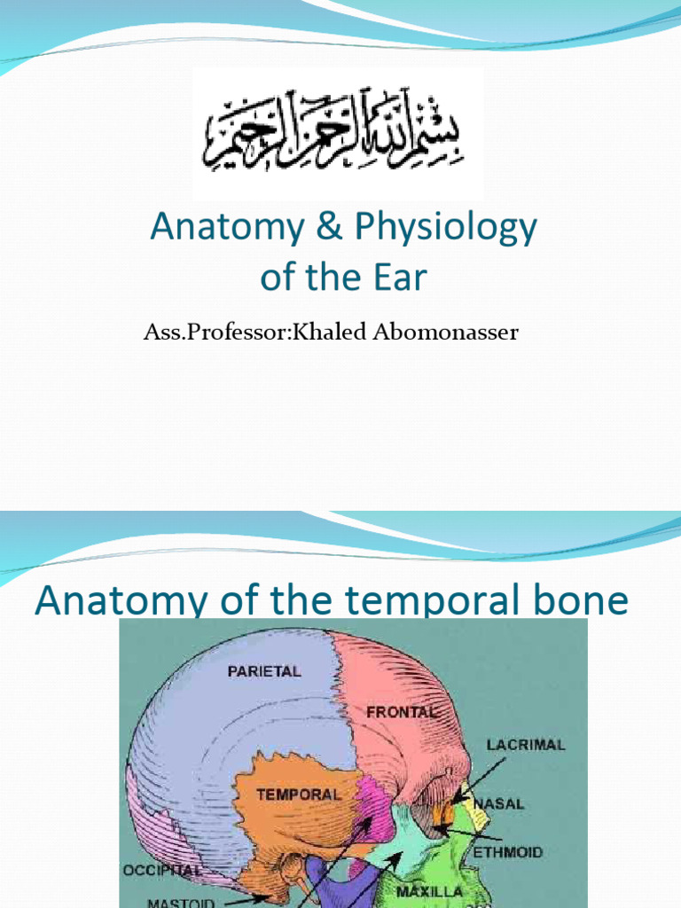 Anatomy & Physiology of The Ear | PDF | Ear | Auditory System