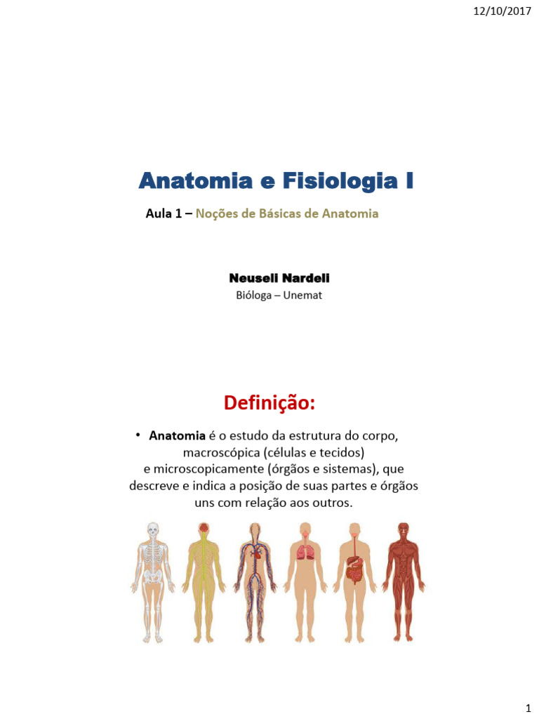 Anatomia E Fisiologia I Aula 1 Noções Básicas De Anatomia