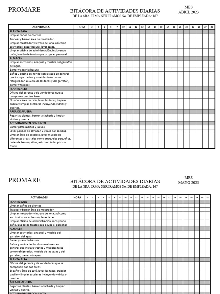 Bitácora de Actividades Diaria1 | PDF