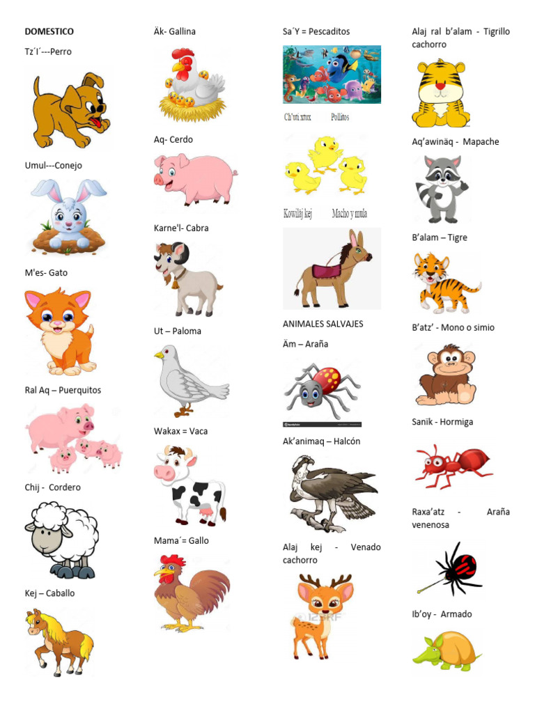 Animales Domesticos y Salvajes en Poqomch | PDF