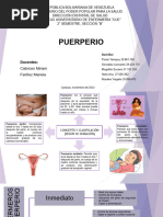 Puerperio Tardío | PDF | Parto | Periodo posparto