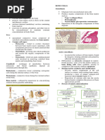 Long Bone Labeling | PDF | Wellness