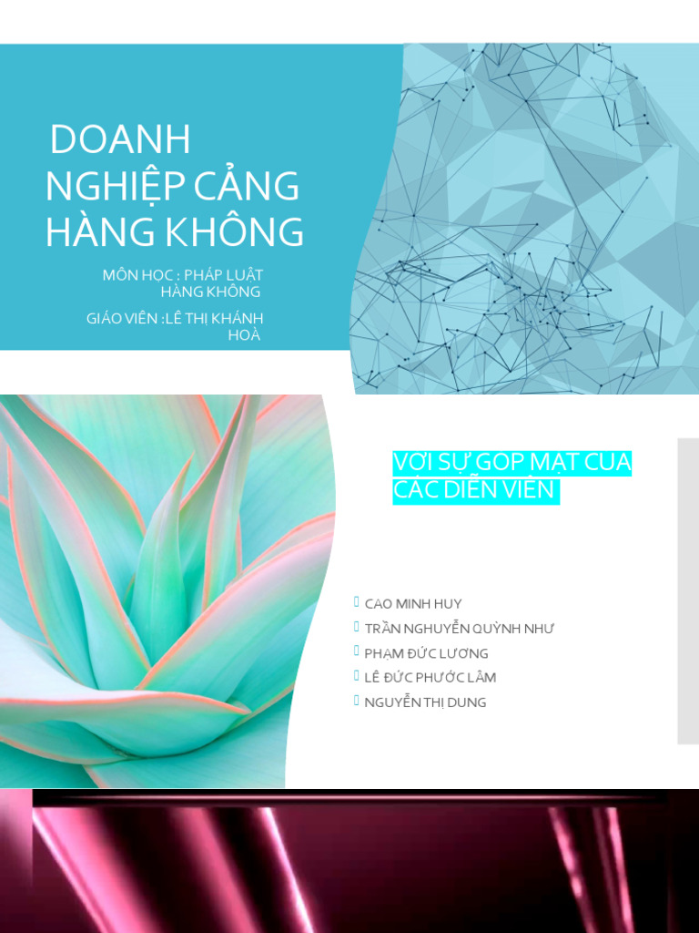 PLHK | PDF