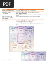 Estructura y Función de ARN Polimerasas | PDF | Rna | Ciencias de la vida