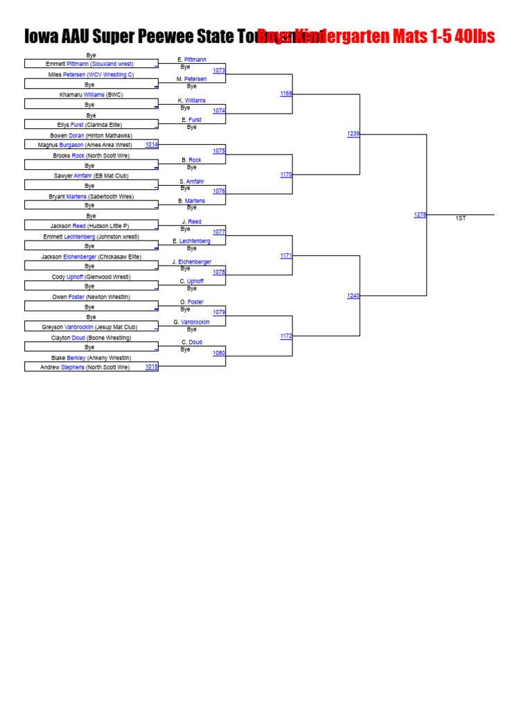2024 Super Pee Wee Brackets | PDF | Mixed Martial Arts Styles | Combat ...