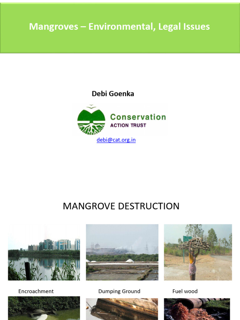 Mangrove Protection: Legal Challenges & Actions | PDF | Mumbai ...