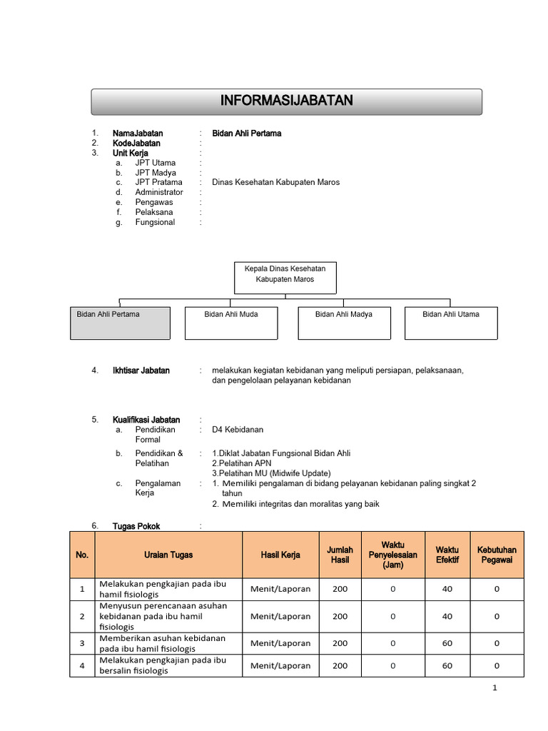 Anjab Bidan Ahli Pertama | PDF